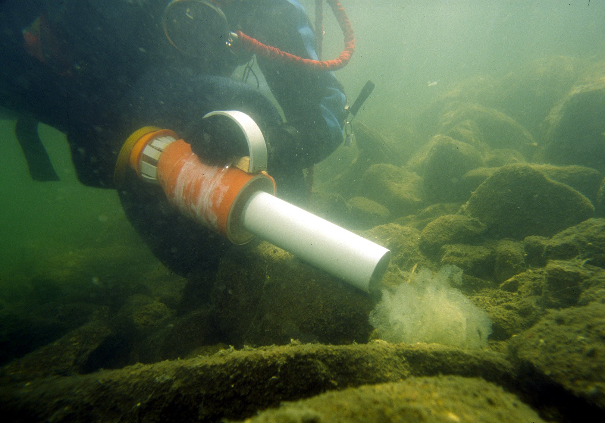 Svetový unikát v Štrbskom plese, ryba sih maréna, je pred vyhynutím ...
