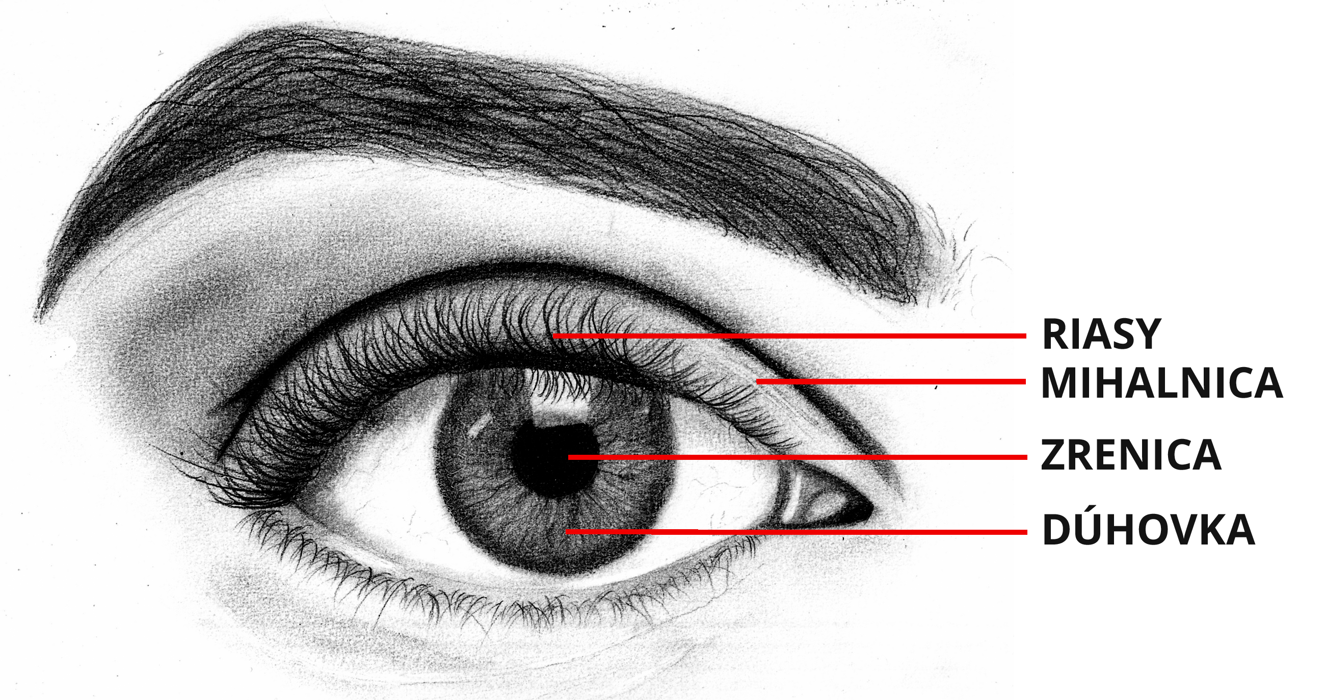 Očný lekár: Slnečné okuliare sú len módny doplnok, skutočne ich ...