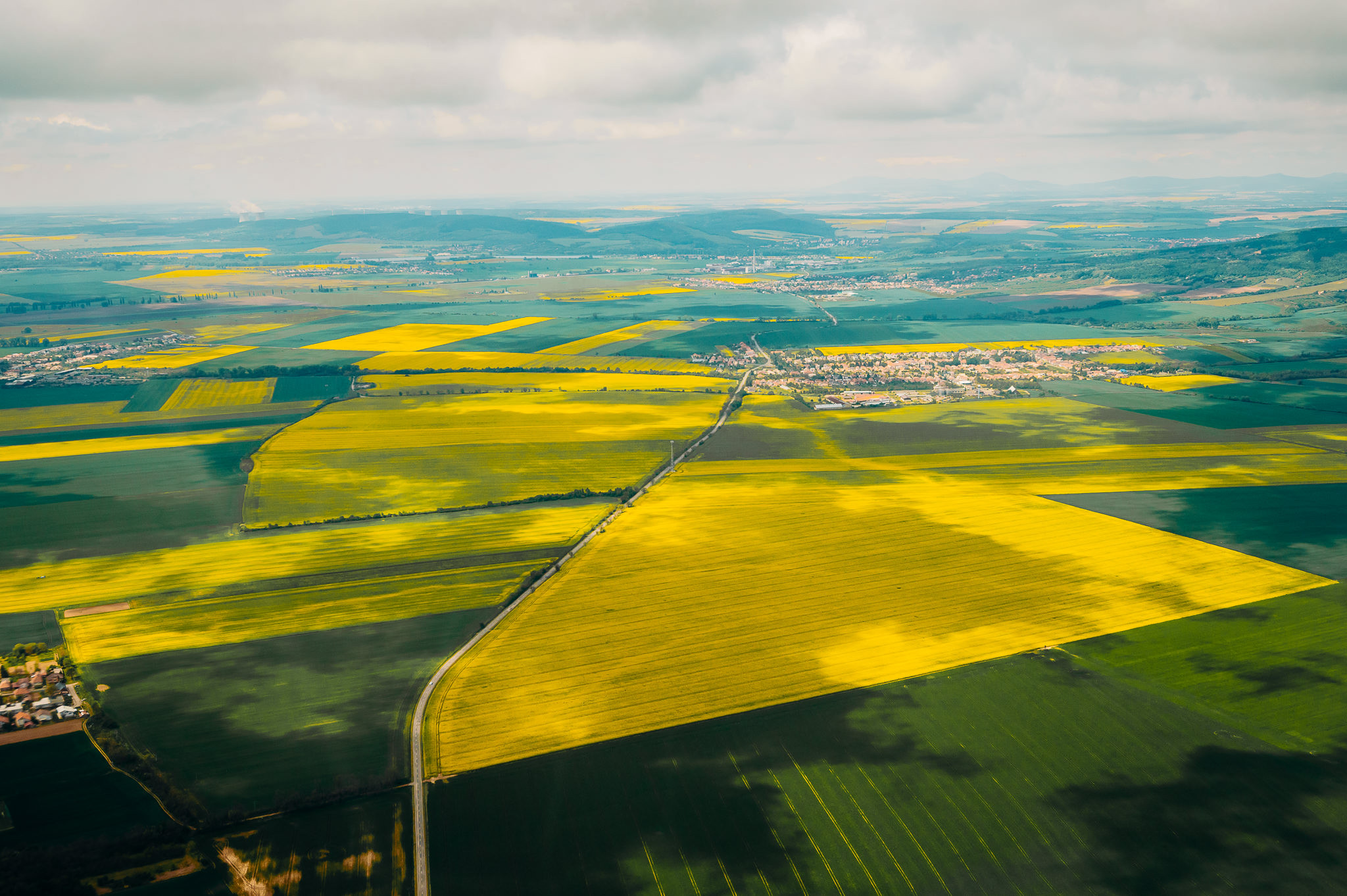 Repka je v poriadku, slovenská poľnohospodárska politika nie — Denník E