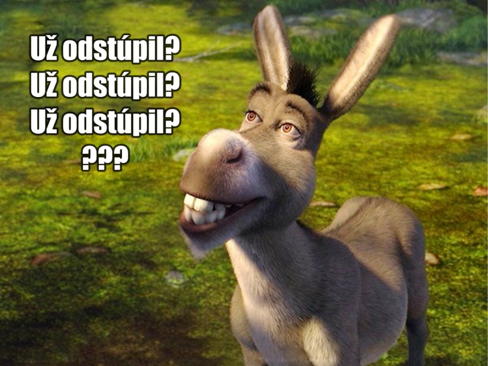 Blog N: Sulík sem, Sulík tam… — Denník N