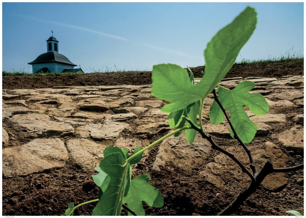 Môže na Spiši vyrásť figa? Sochári Piaček a Gavula skúšajú, kam sa ...