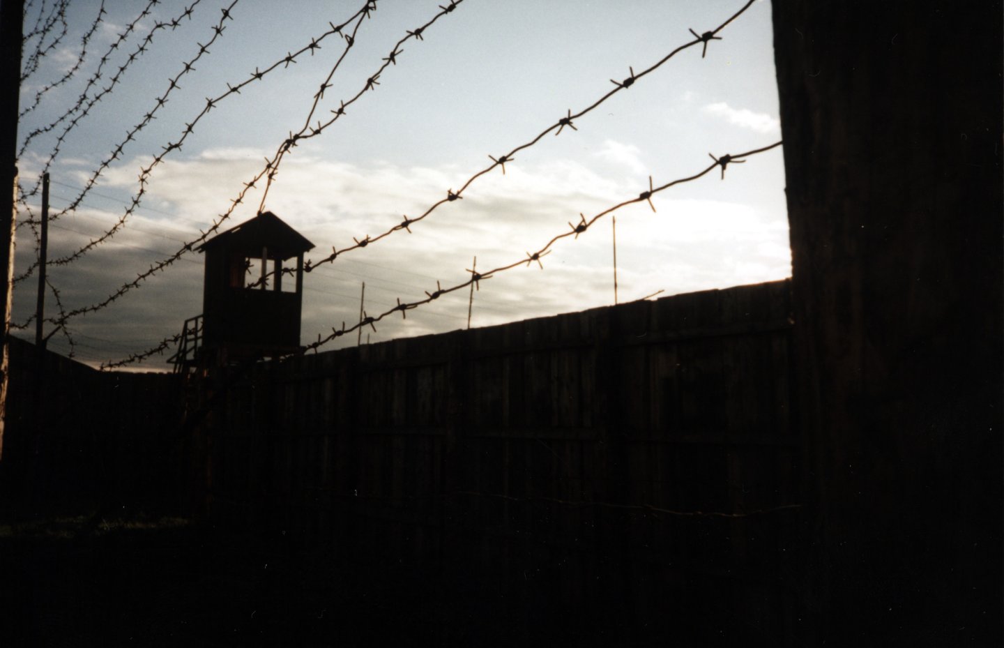 Ruská ruleta je tu stále obľúbená. Aktivistka vysvetľuje, prečo ruskí ...