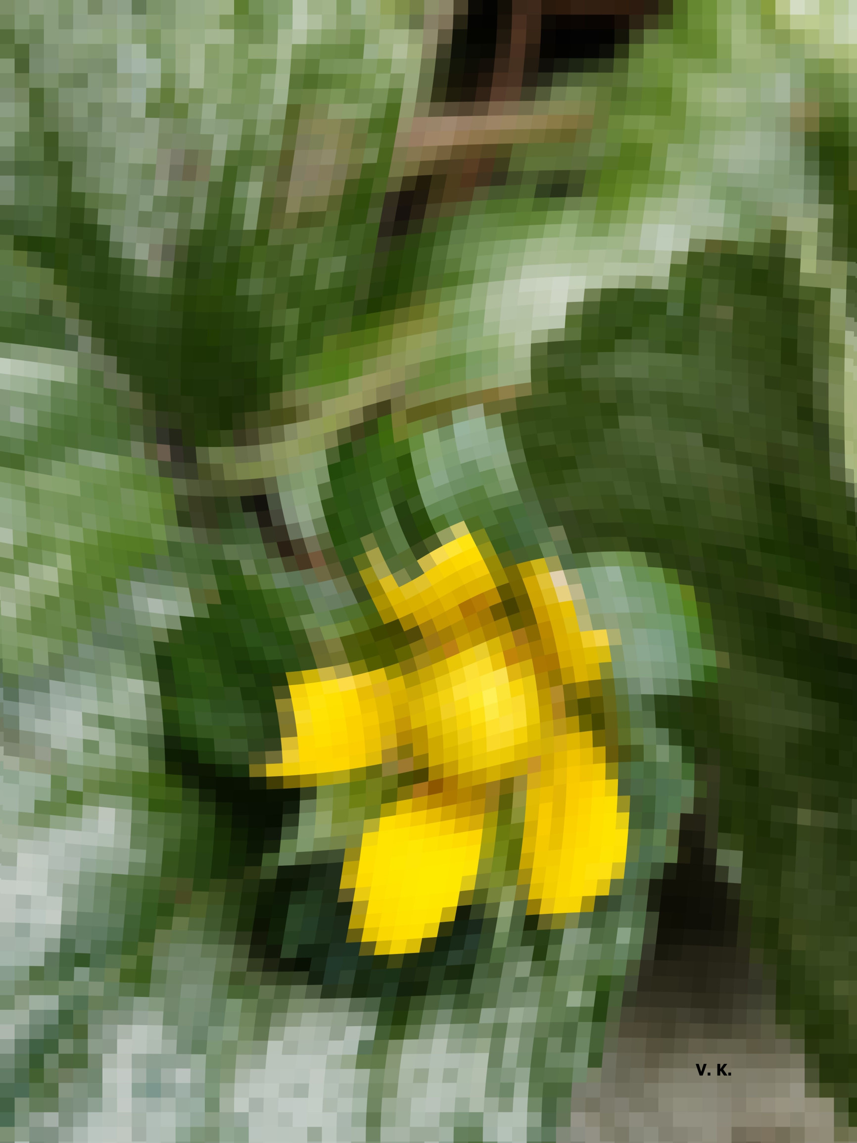 Blog N: Jahodka indická (Duchesnea indica) – foto-výtvarno — Denník N